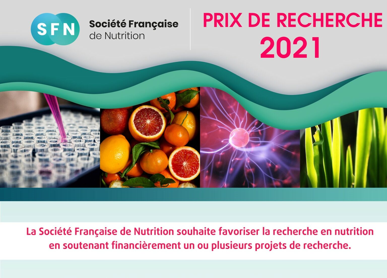 Accueil – SFN