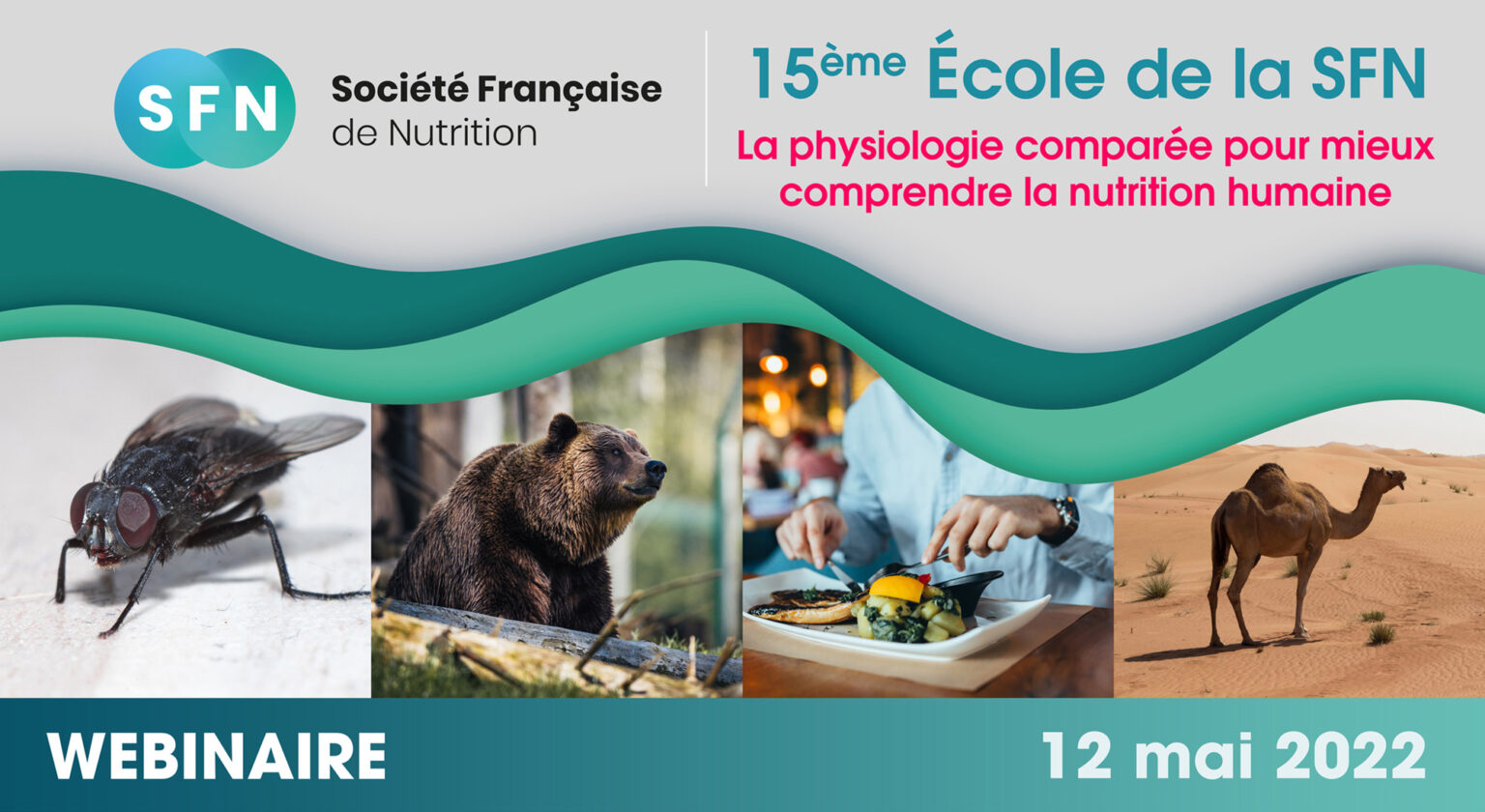 Les Cahiers de Nutrition et Diététique – SFN